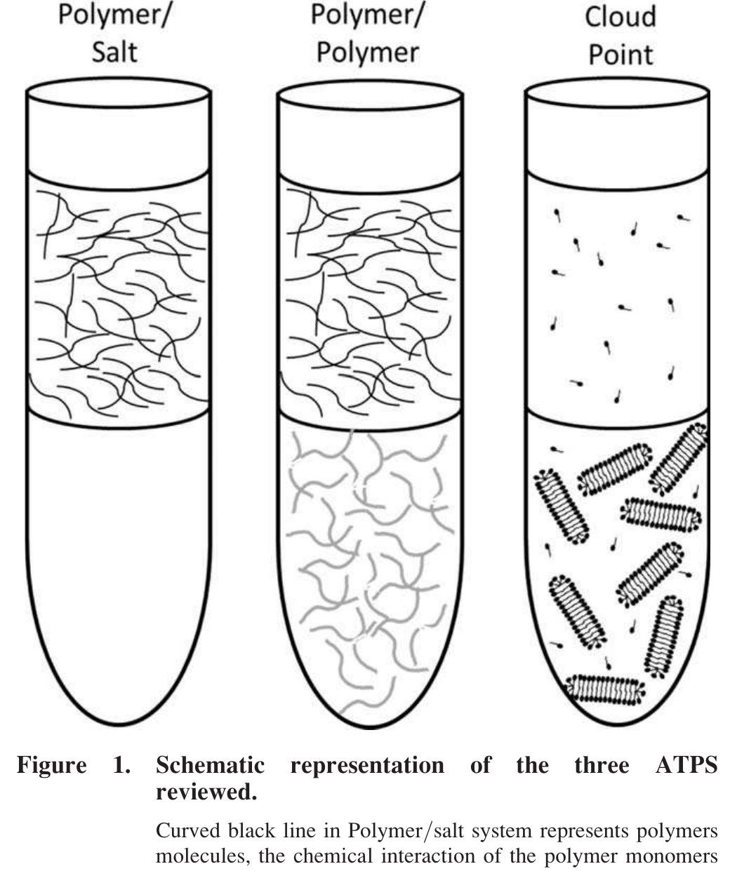 Figure 1 - Different types of aqueous two-phase systems for