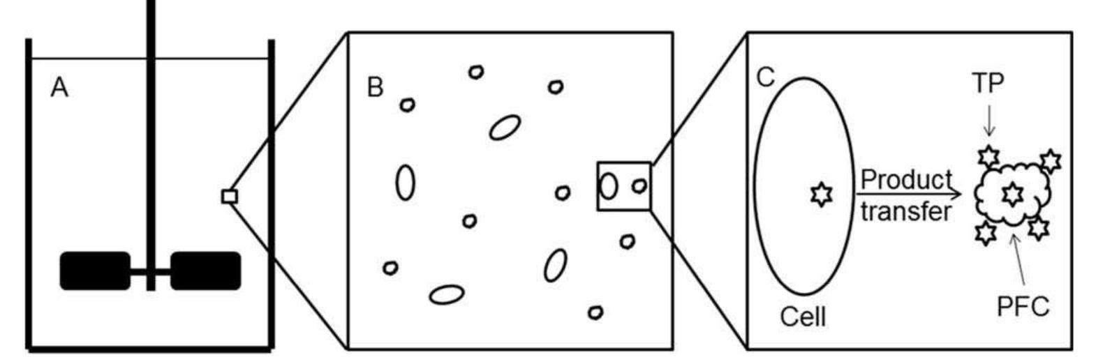 Schematic representation of extractive fermentation with