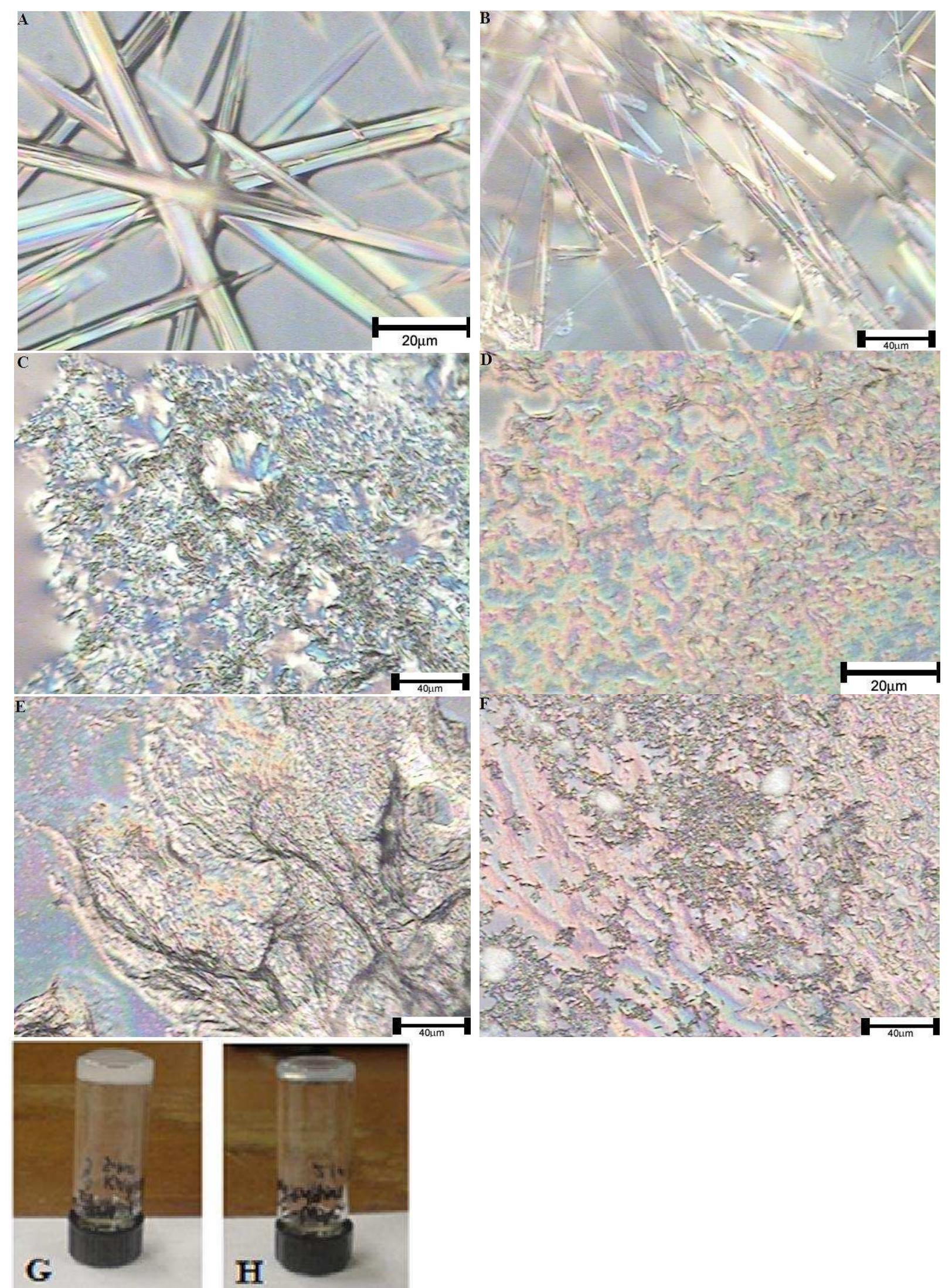 Optical microscopy images and photographs of the gels formed