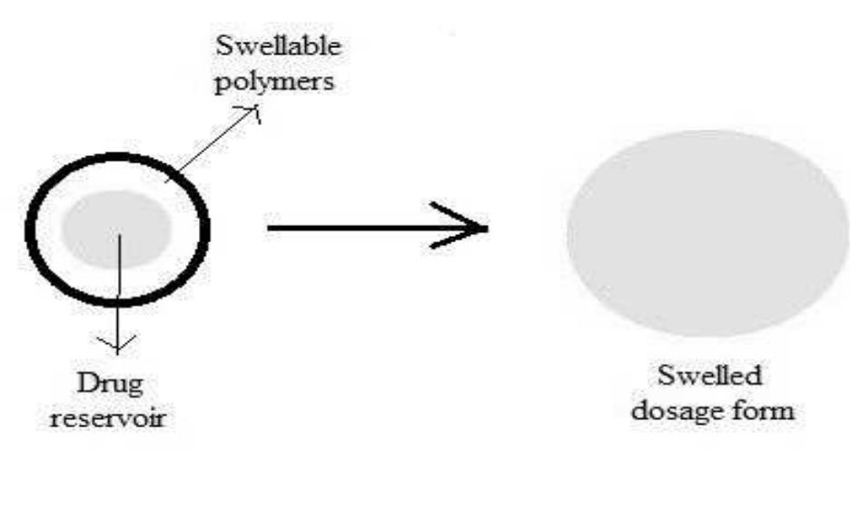 Figure 3 - from GASTRORETENTIVE DRUG DELIVERY SYSTEMS: A