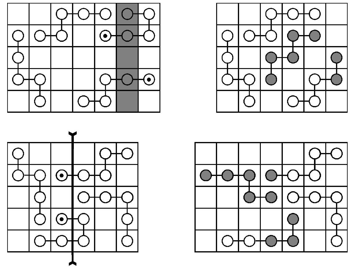 Schematic diagram of volume change steps for
