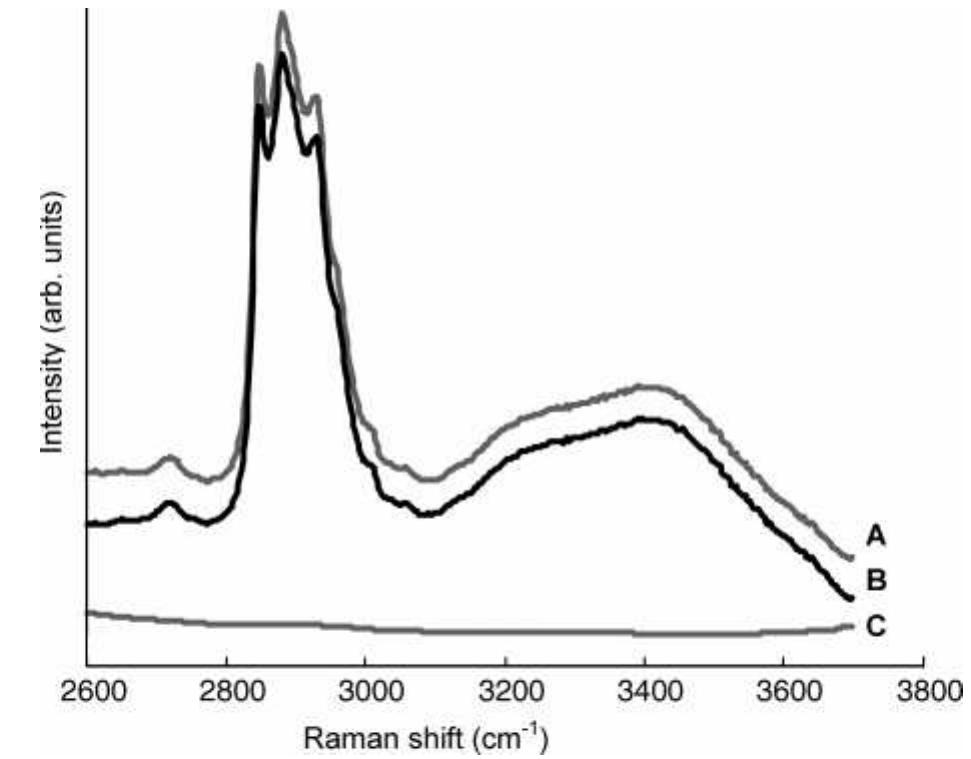 Raman spectra of white matter (cerebellum, porcine brain),