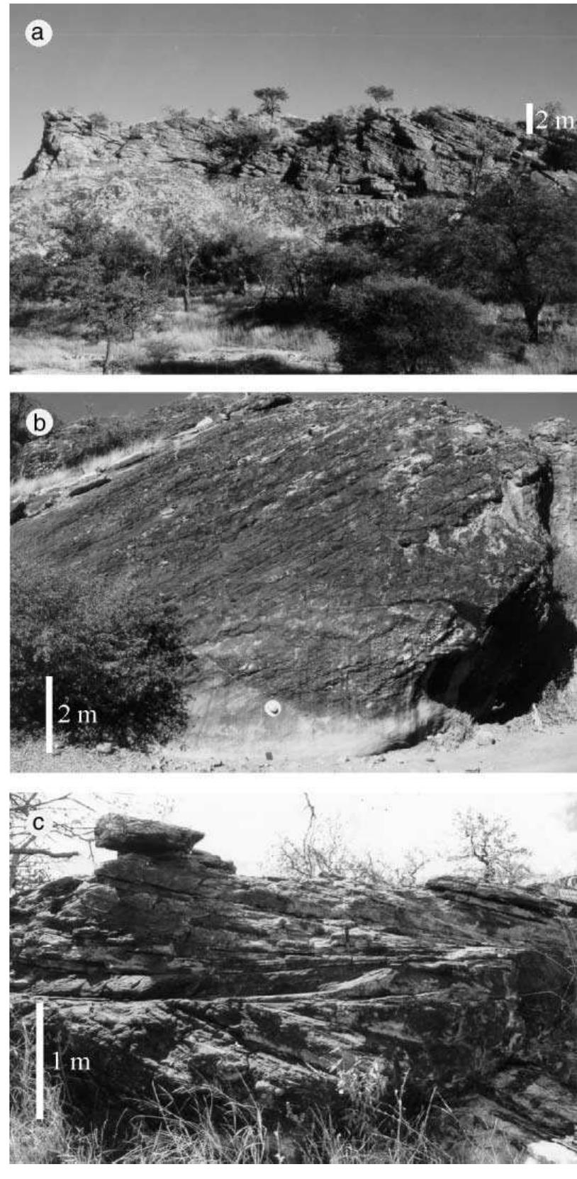 (a) example of large-scale cross-stratified sandstone