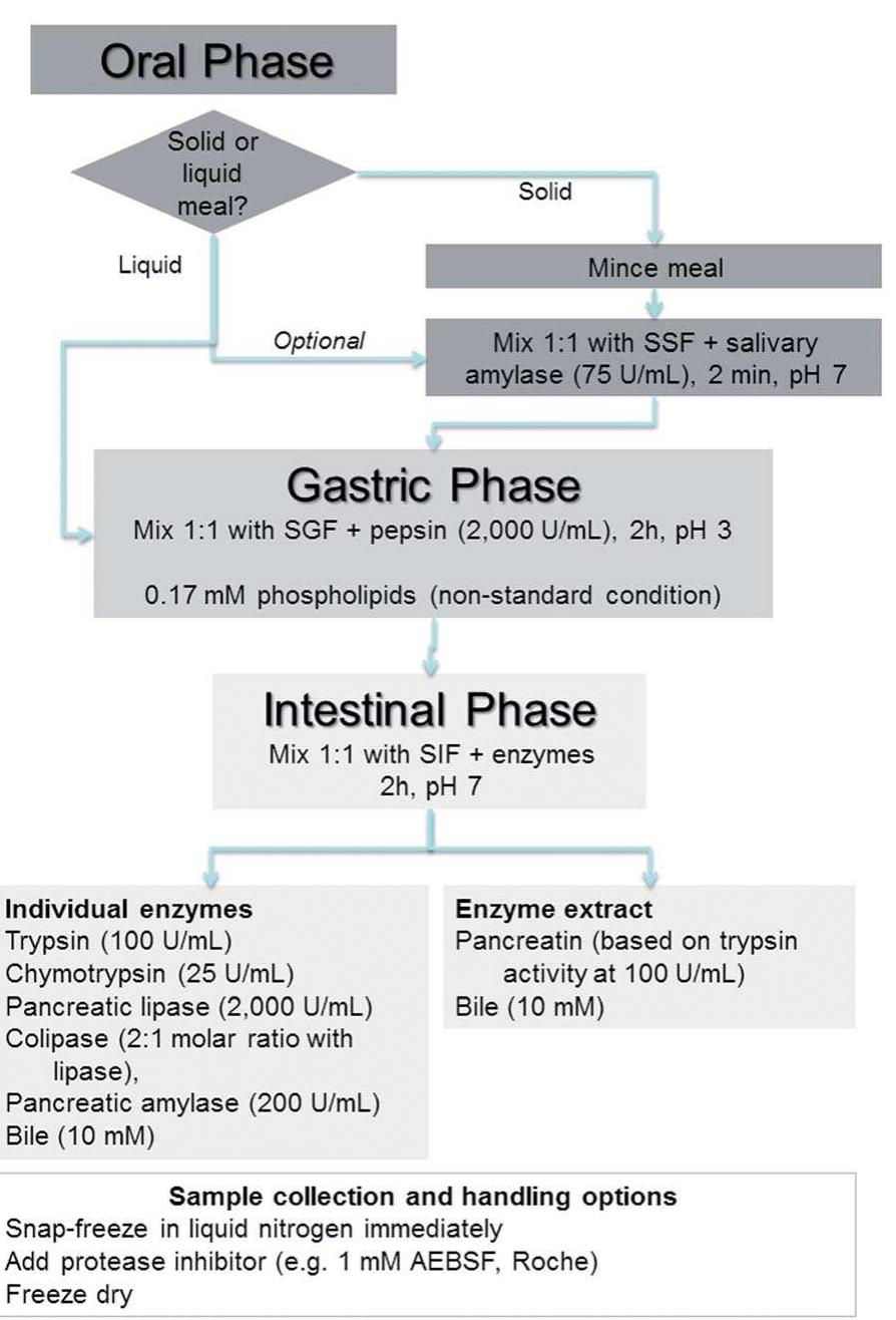 (PDF) A standardised static in-vitro digestion method suitable for food ...