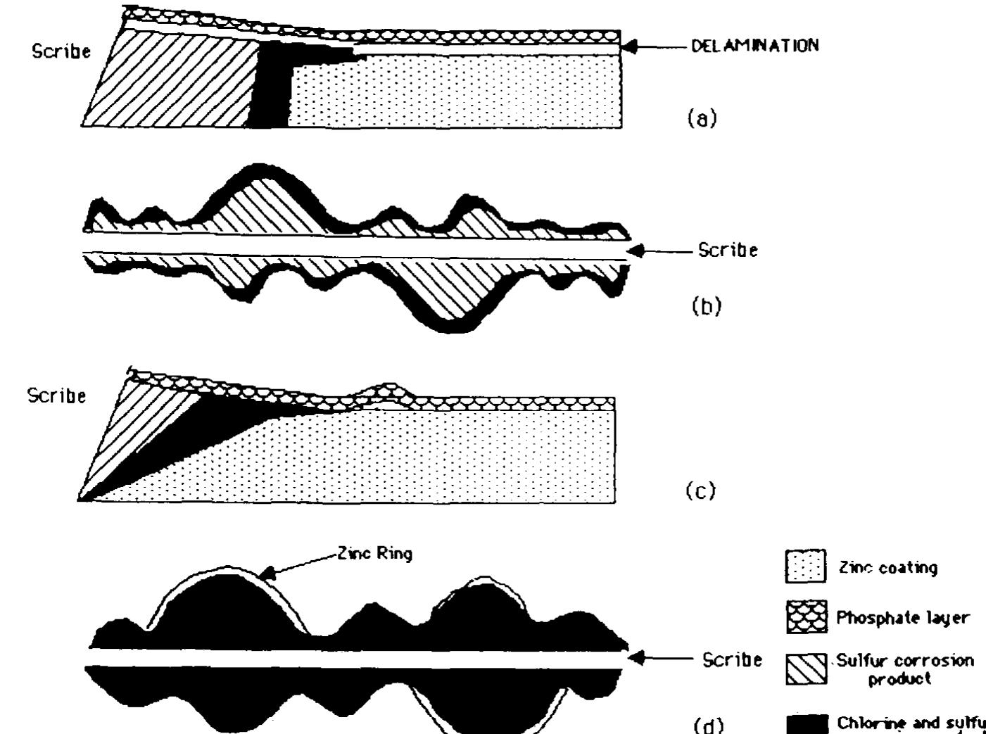 Schematic of corrosion propagation mechanisms in systems