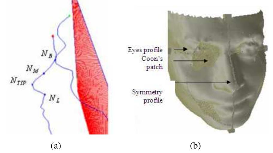 Facial features identification (a) symmetry profile