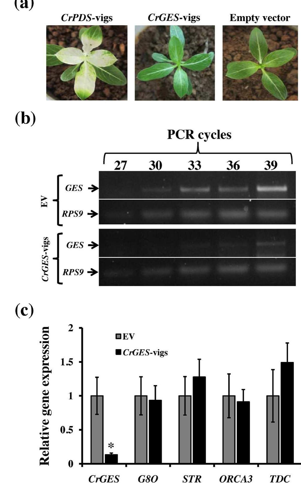 (PDF) Kumar et al., 2015.pdf