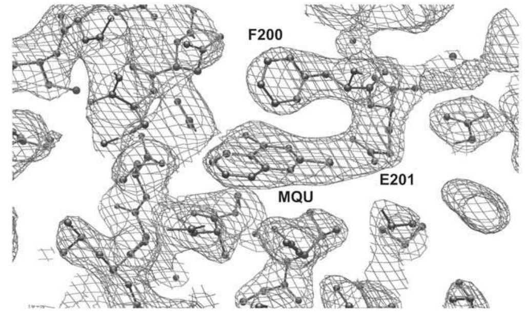 A. electron density (2fops — feaic) map of mqu in