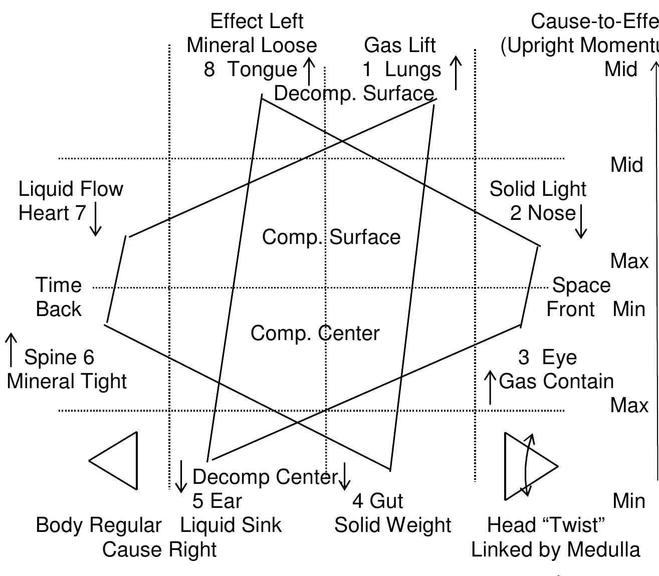 Diagram 16, organs set by diagram 8 (flat & upright seen
