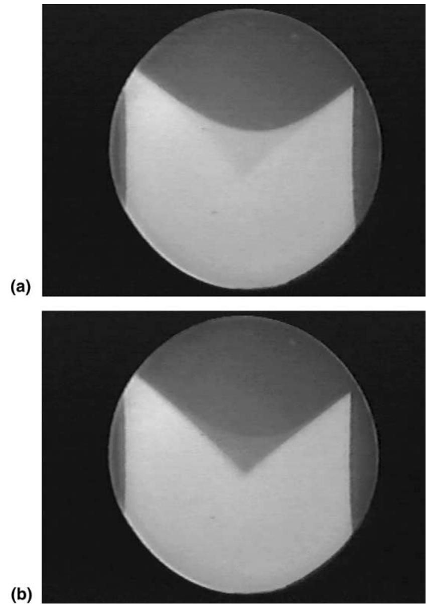 (a) and (b): in situ hvtem (1 mv) images of the taylor cone
