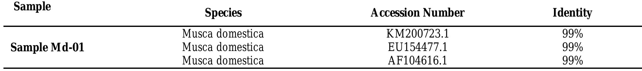 List of accession numbers and their degree of identity with