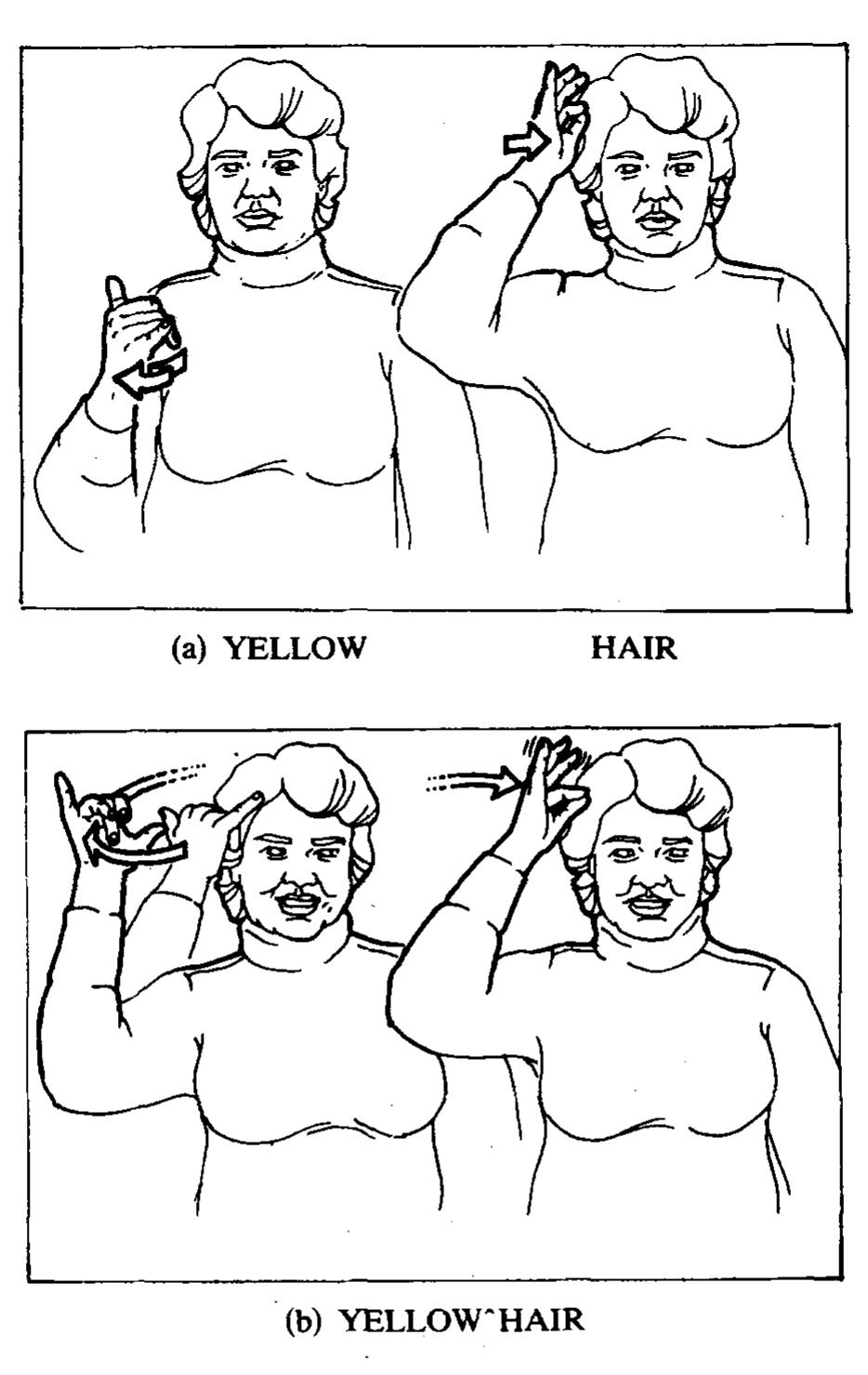 The individual signs and the compound yellow “hair.