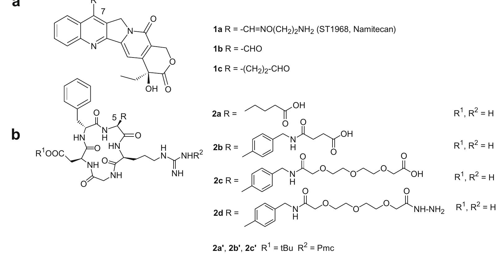 (a) structure of camptothecin analogues; (b) structure of