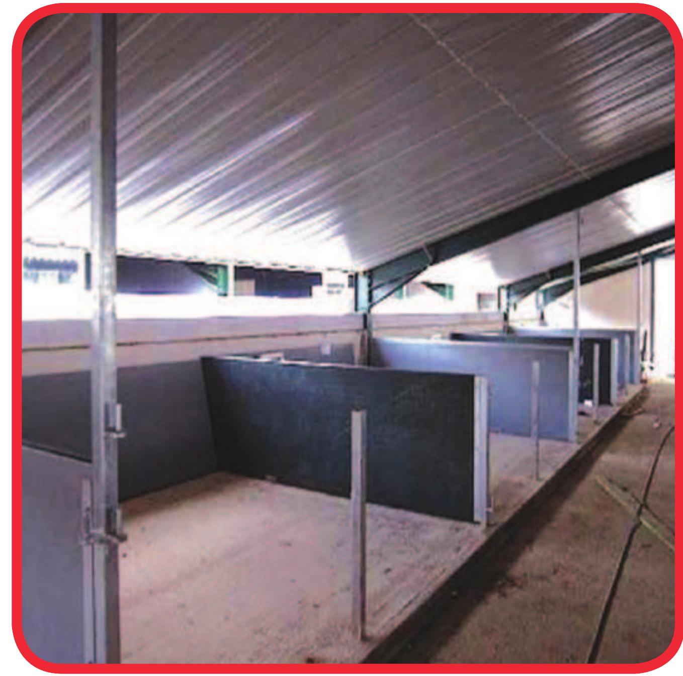 (PDF) Pig buildings design and build - blueprint