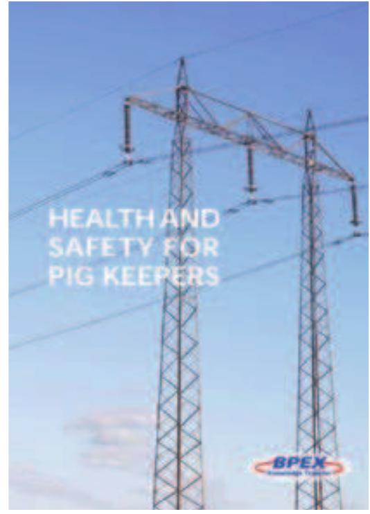 Figure 29 - Pig buildings design and build - blueprint