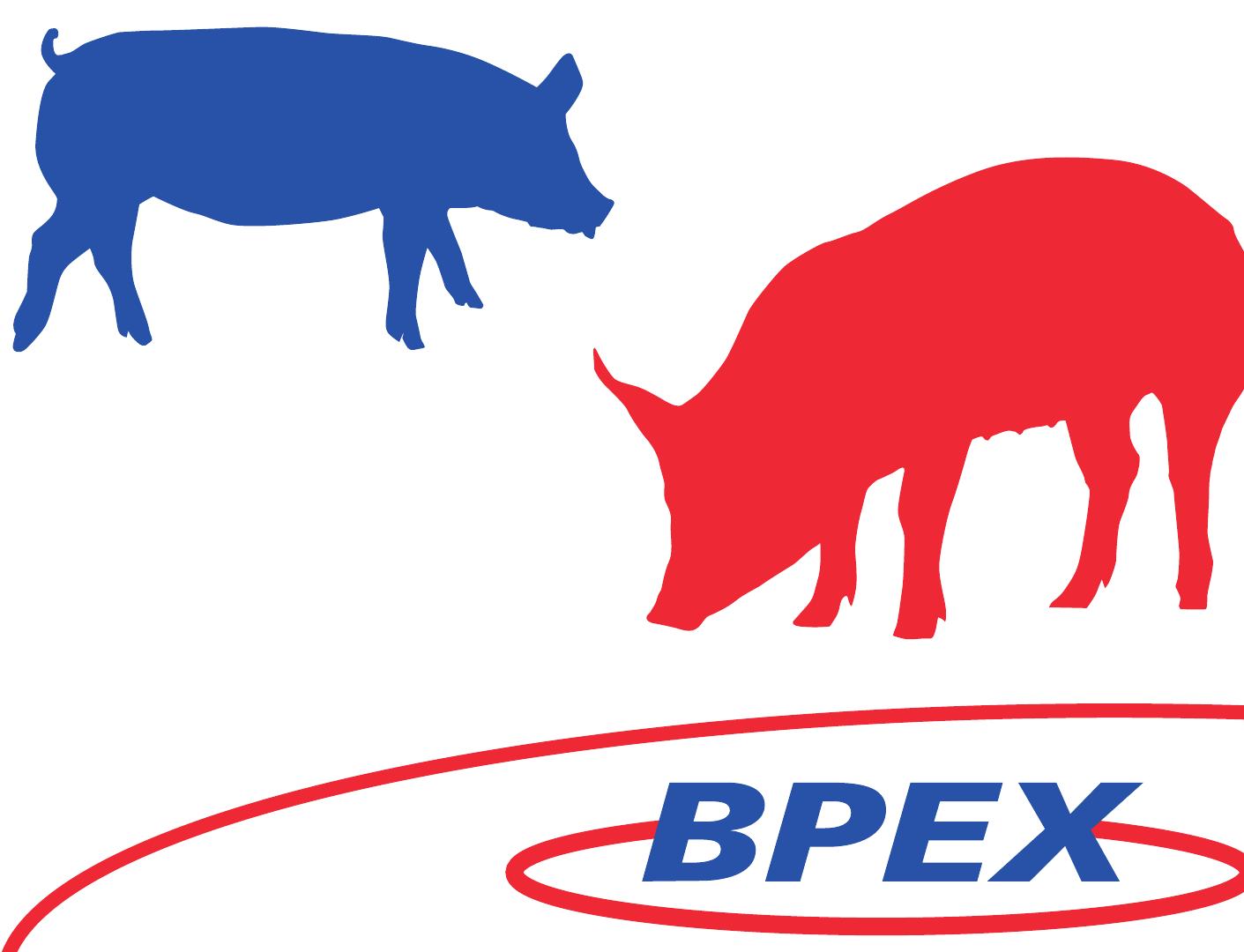 Figure 36 - Pig buildings design and build - blueprint