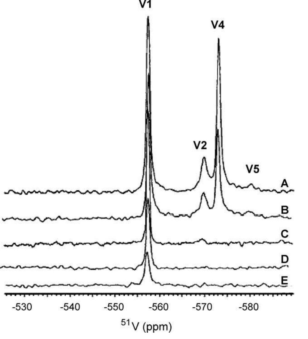 A 56.6 mhz *'v nmr spectra of 0.5 mm vanadate in various