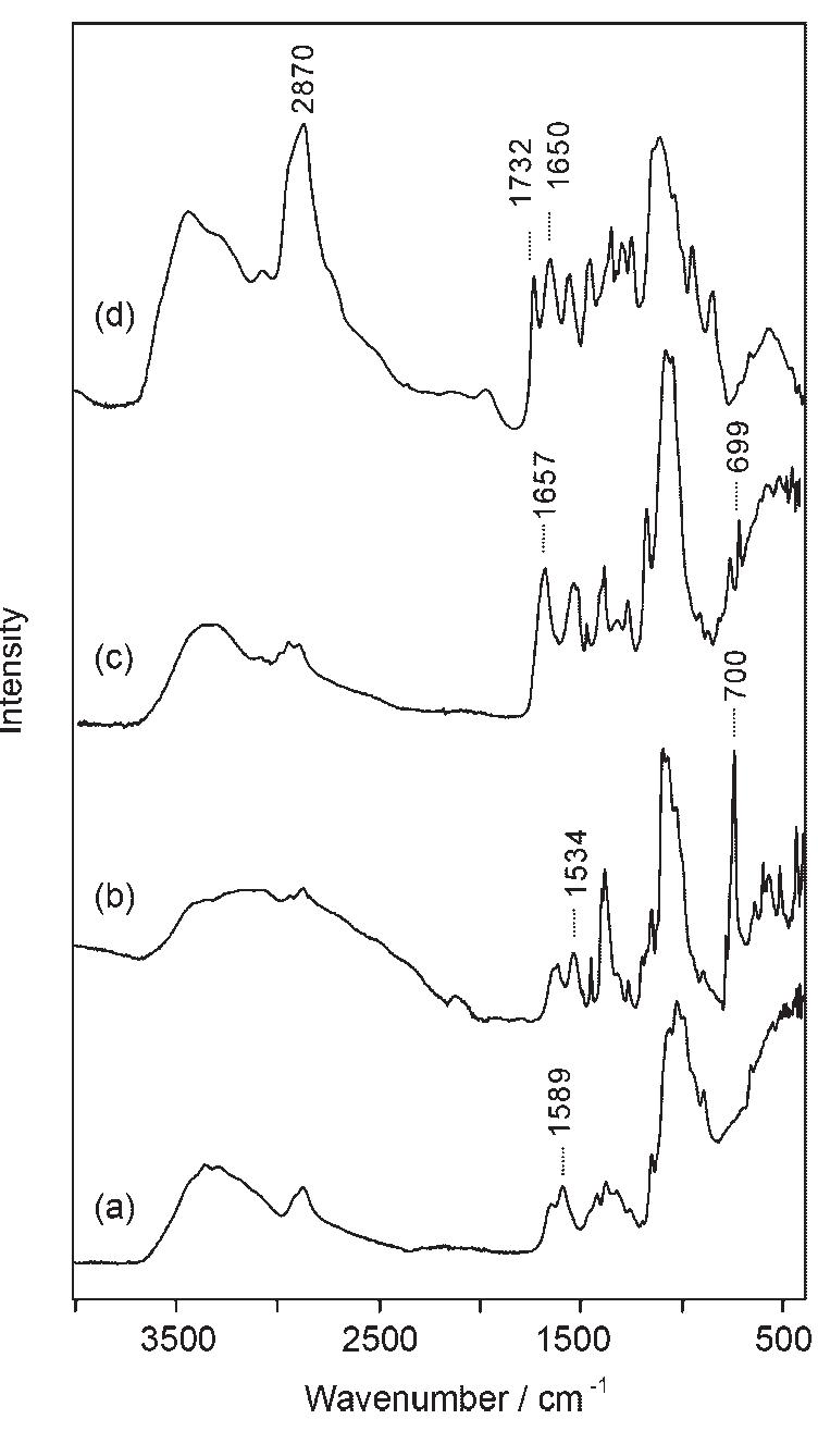 Atr-ftir spectra of a) chitosan, b) 1, c) 2, and d) 4. the