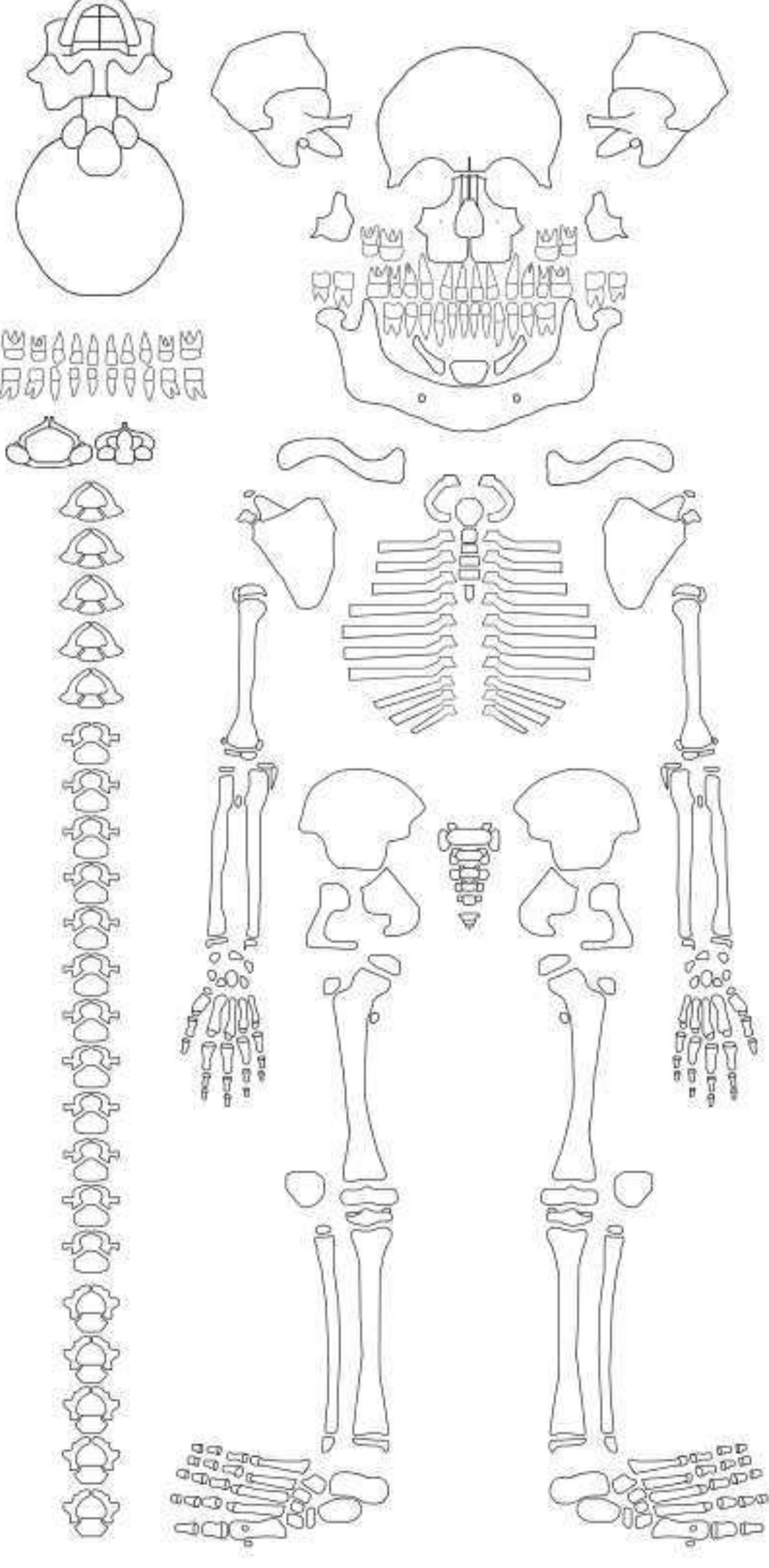 Figure 2 - 'New Standardised Visual Forms for Recording the