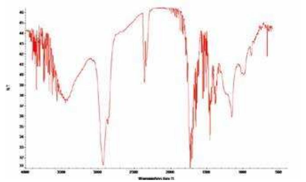 Ir spectrum of suspected amber sample in the form of a kbr