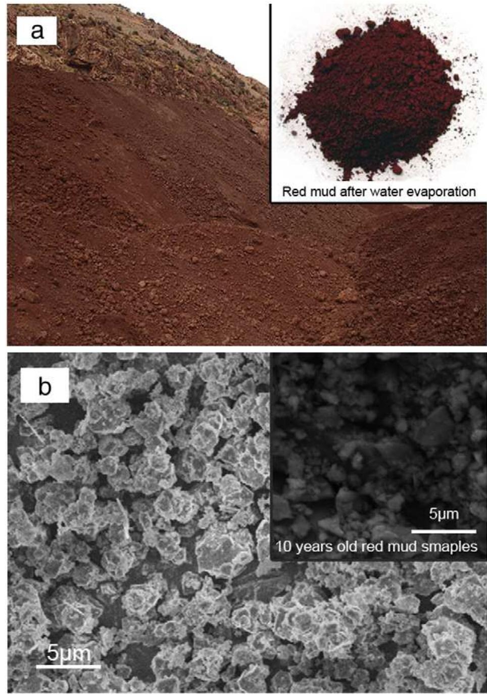 Images of macrostructure and microstructure of some kind of