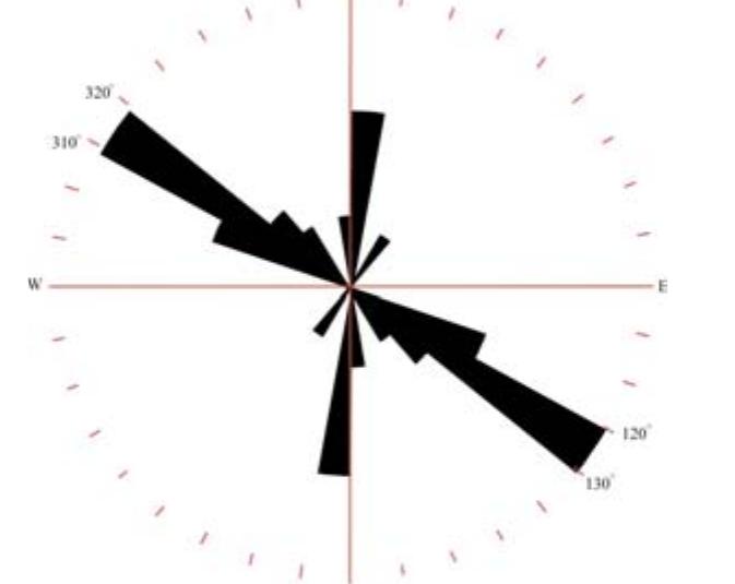 Bi-directional rose diagram of the long axis of 100 dolines