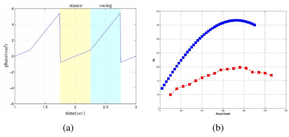 (a) hind and forelimb rotations during stance and swing