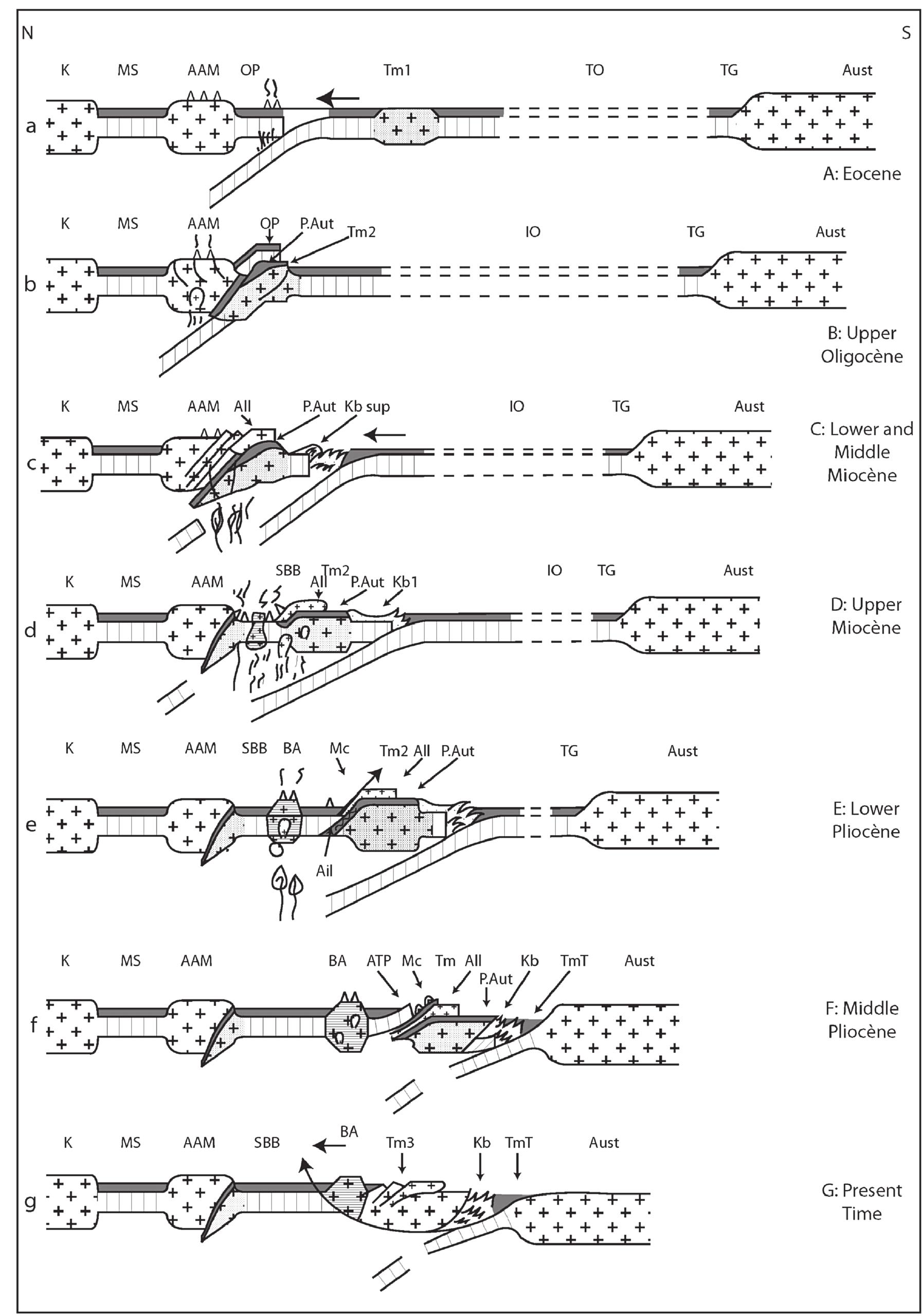 Figure 5 - from West Timor: a key for the eastern Indonesian