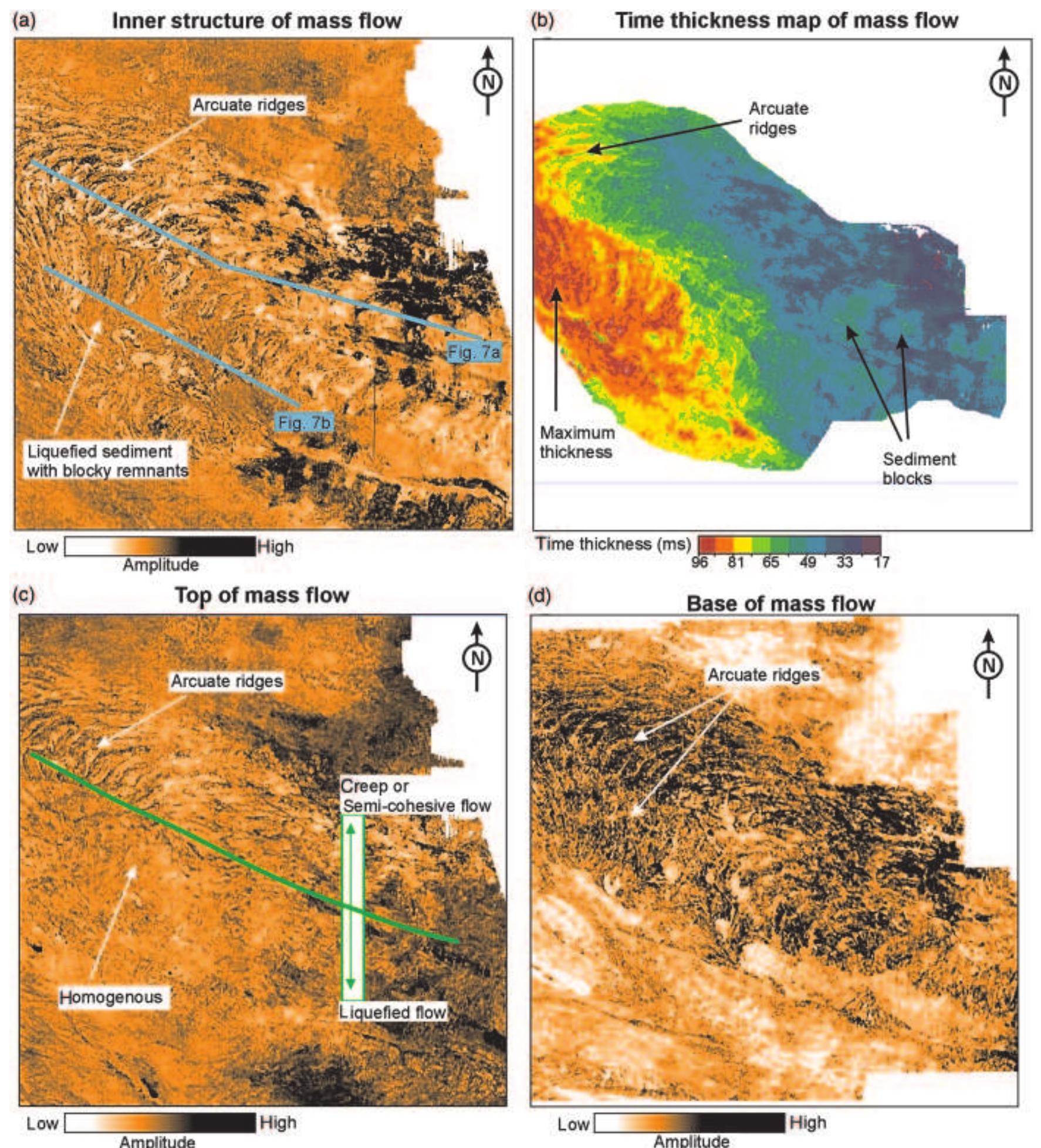 Detailed images (amplitude horizons slice maps) of the