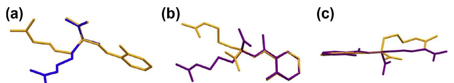 Molecular overlay of structures of (a) 1-arg (blue) and