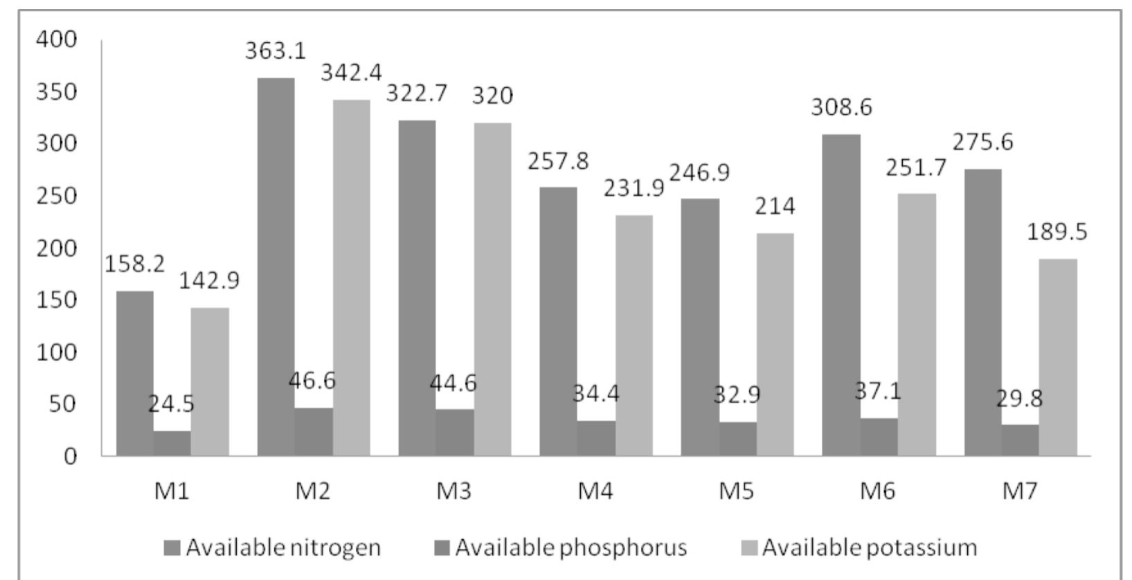 Soil nutrient content (kgha”’) of stratification media