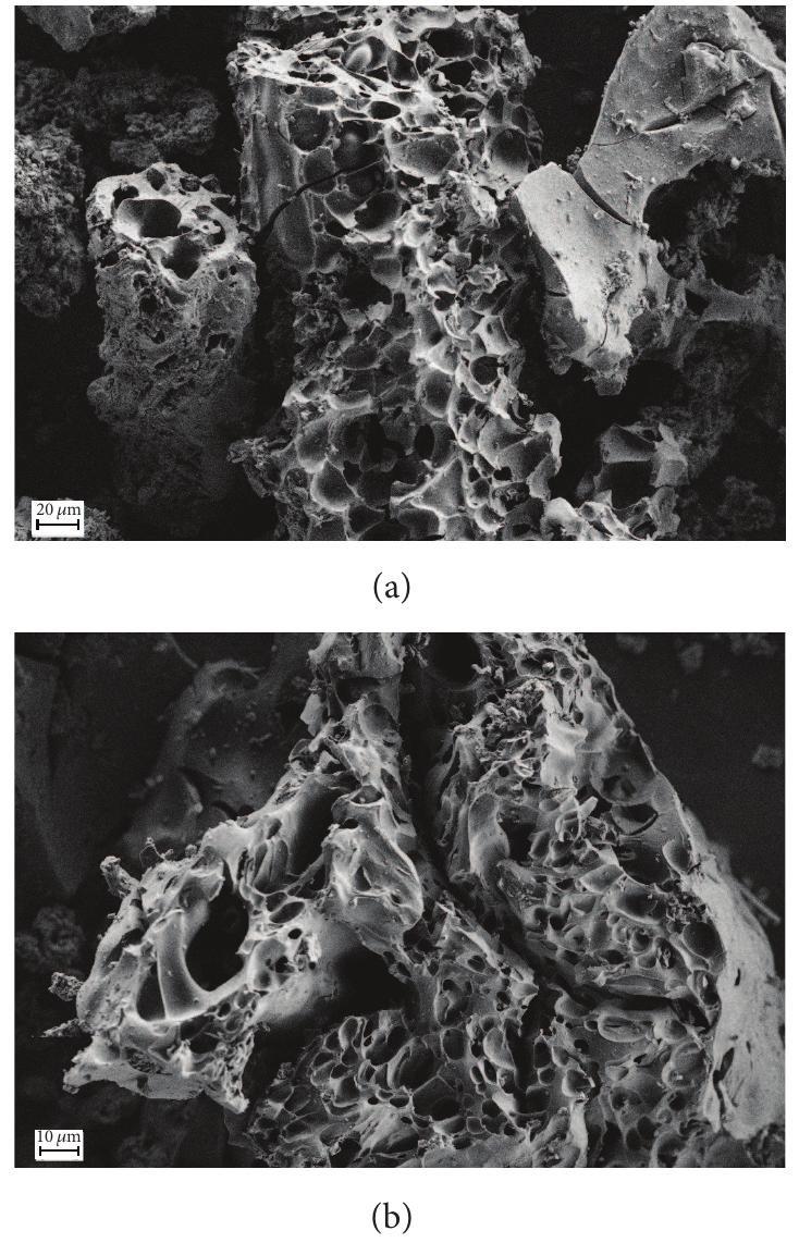 Figure 7 - from Highly Porous Carbon Materials from Biomass