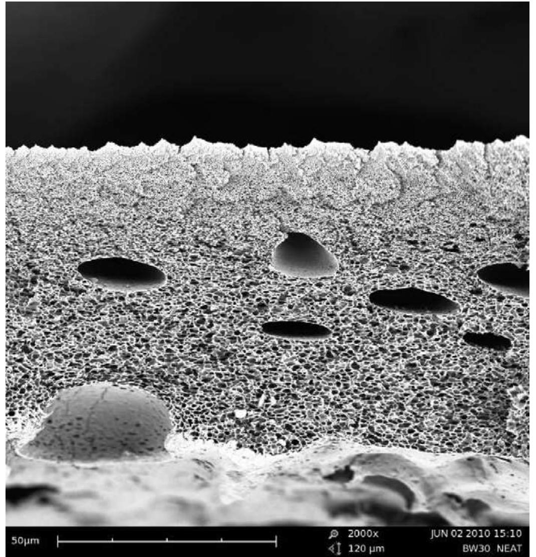 Sem of a bw30 membrane showing the pore structure of the
