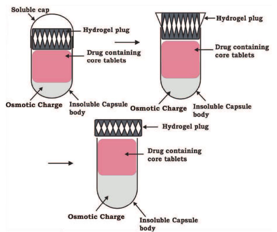 Schematic diagram of drug delivery with release controlling