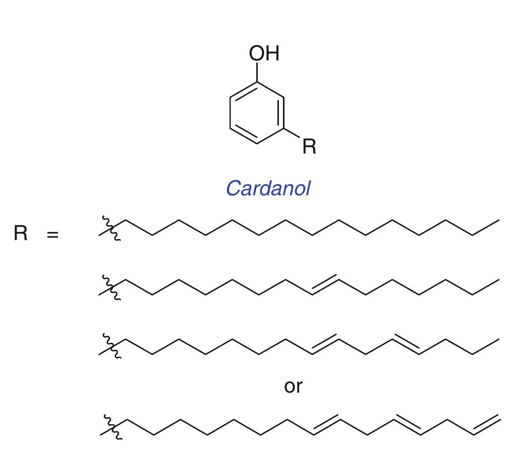 Chart 2 structure of natural cardanol chart 1 structures of