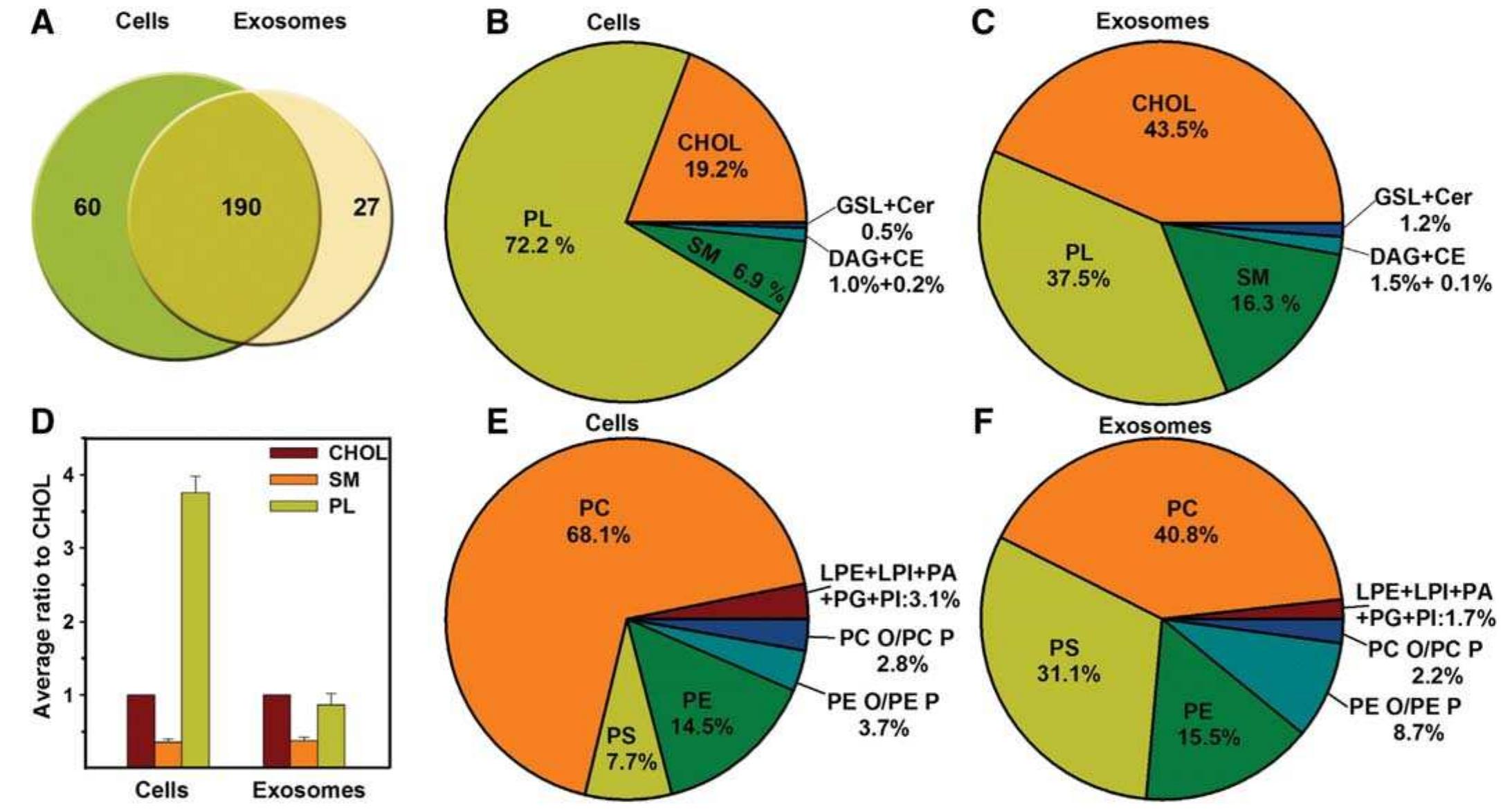 Lipid composition of pc-3 cells and exosomes. a—venn diagram