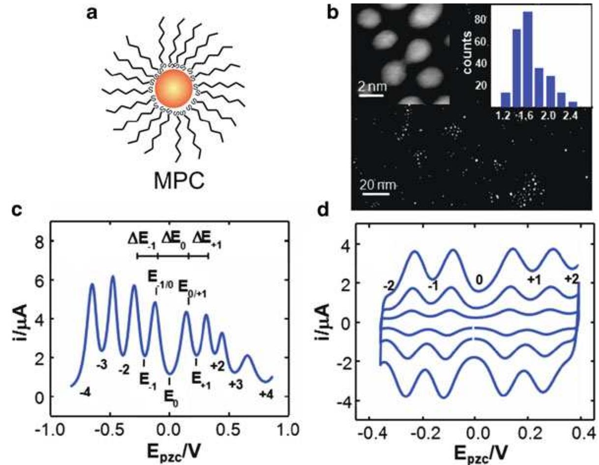 (a) schematic representation of an alkanedithiol monolayer