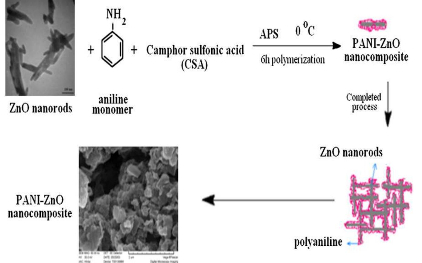 Schematic diagram of the formation of polyaniline-zno