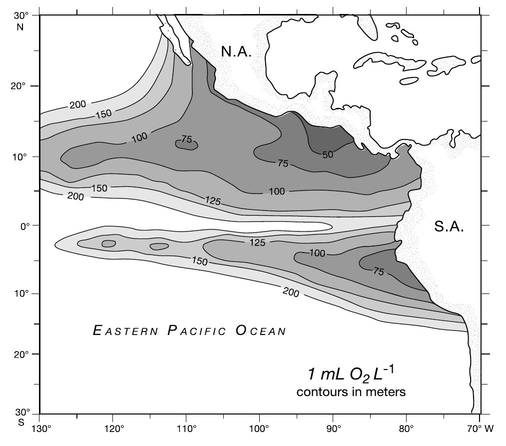 Depth to the top of oxygen minimum zone (omz) in the modern