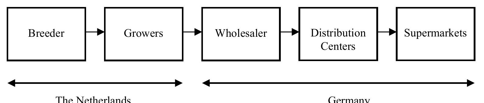 Schematic representation of the tomato supply chain the