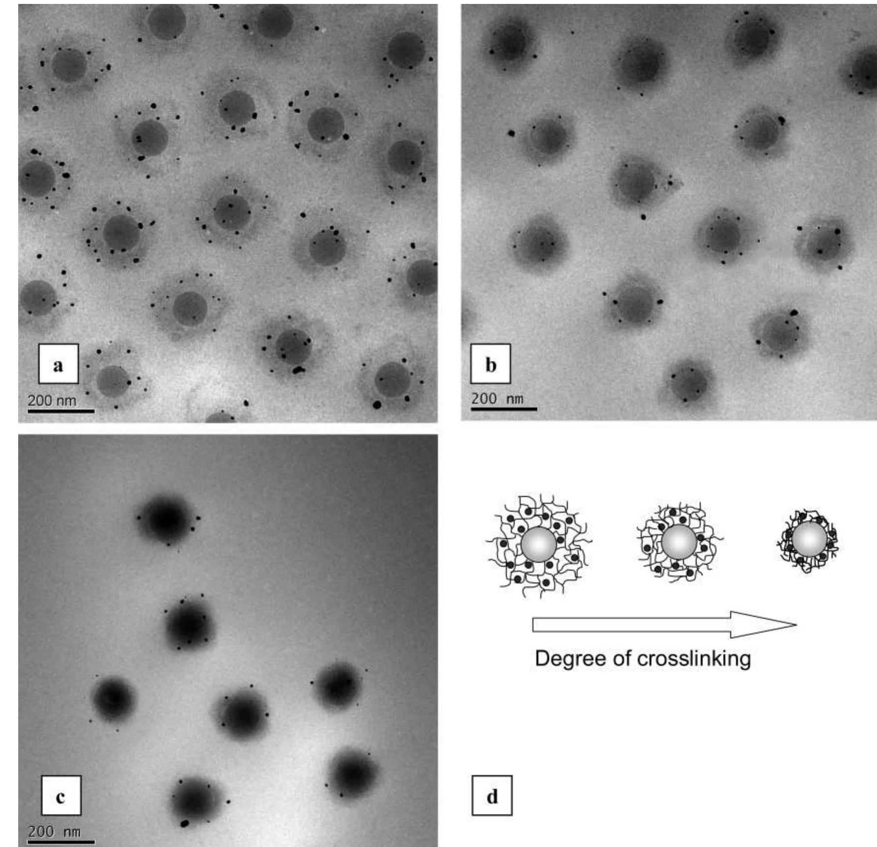 Cryo-tem images for the silver nanocomposite particles