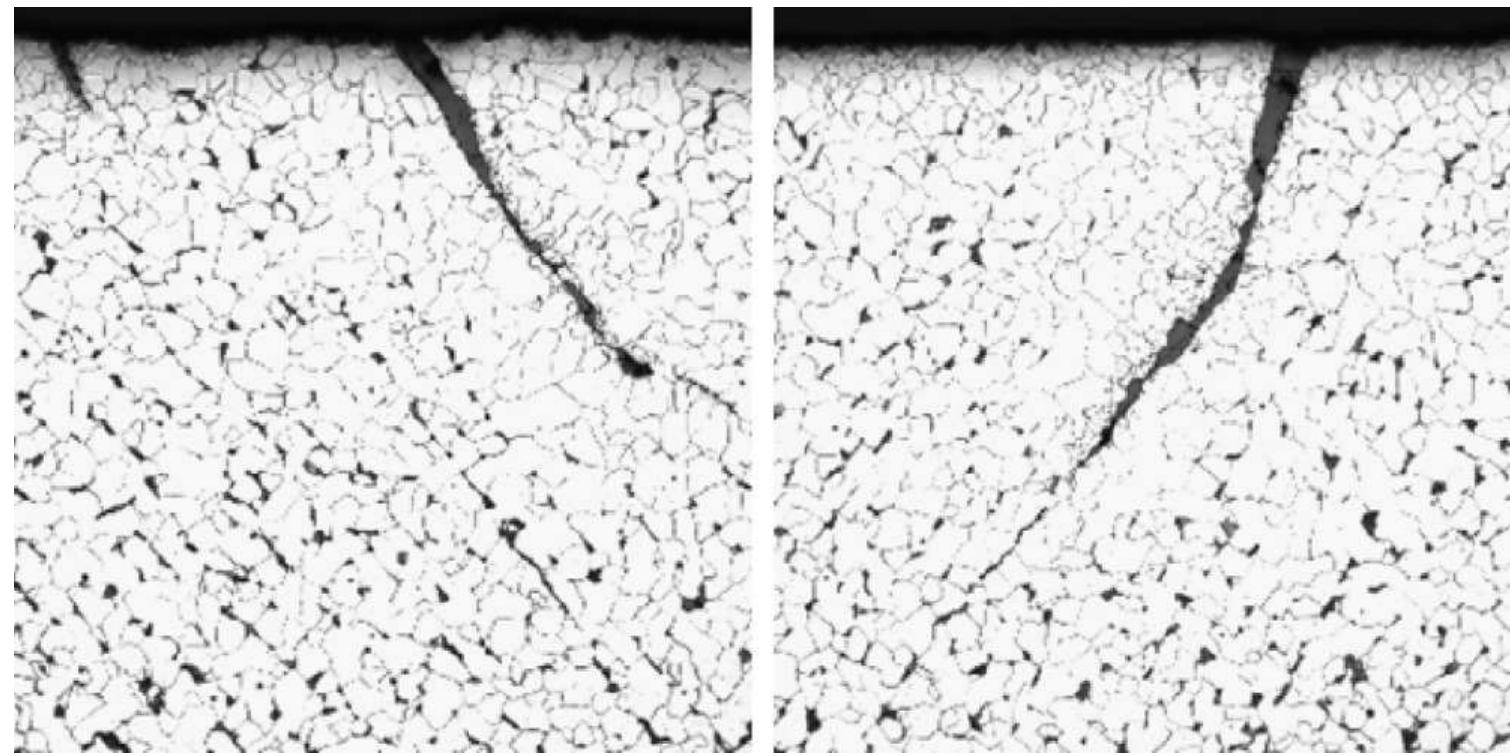 Micrograph of defects in the cross-section of the crop in