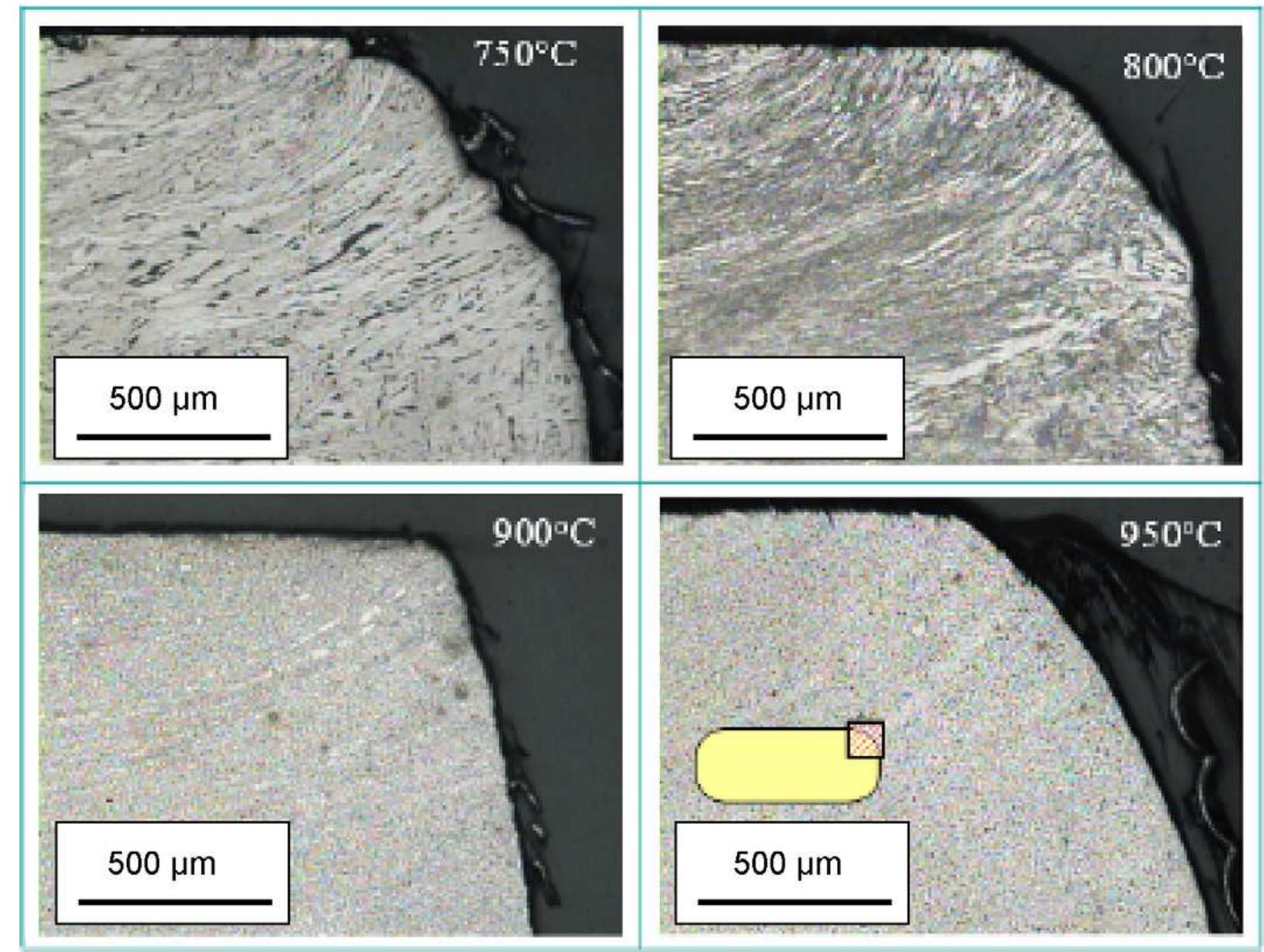 Micrographs of the cross-section of compressed specimens