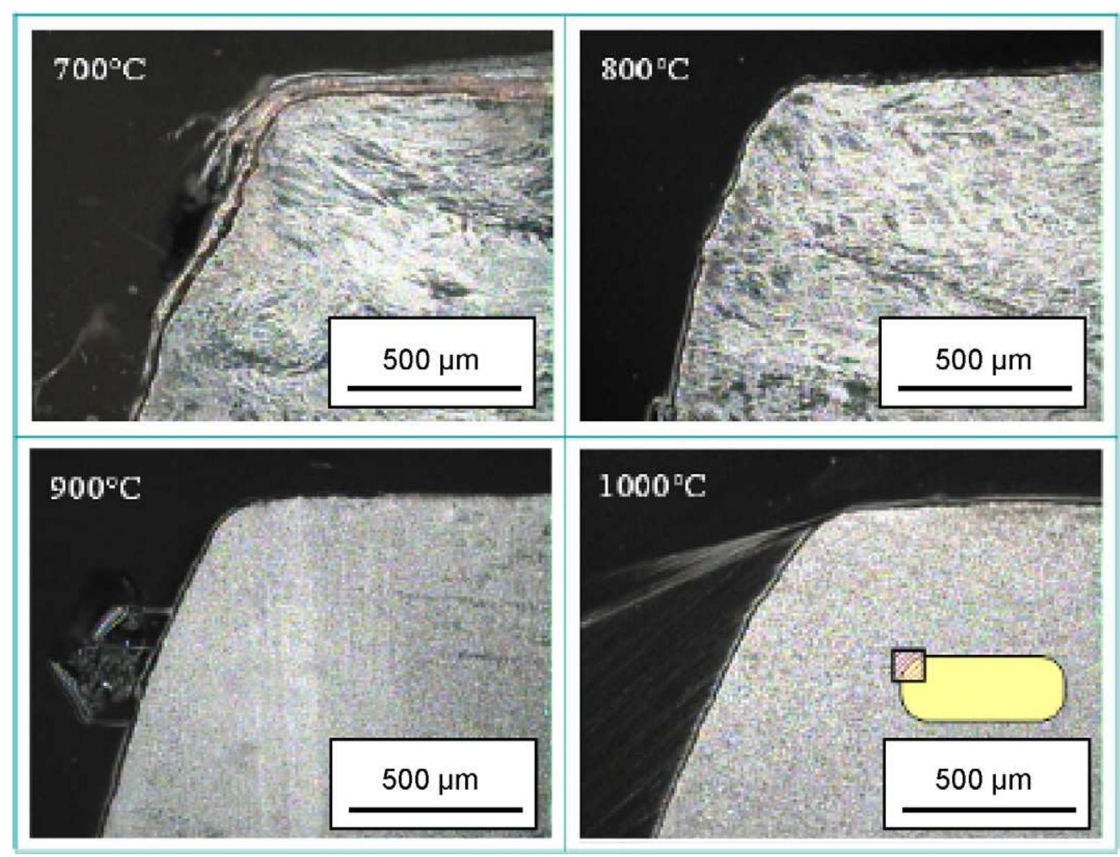 Micrographs of the cross-section of compressed specimens