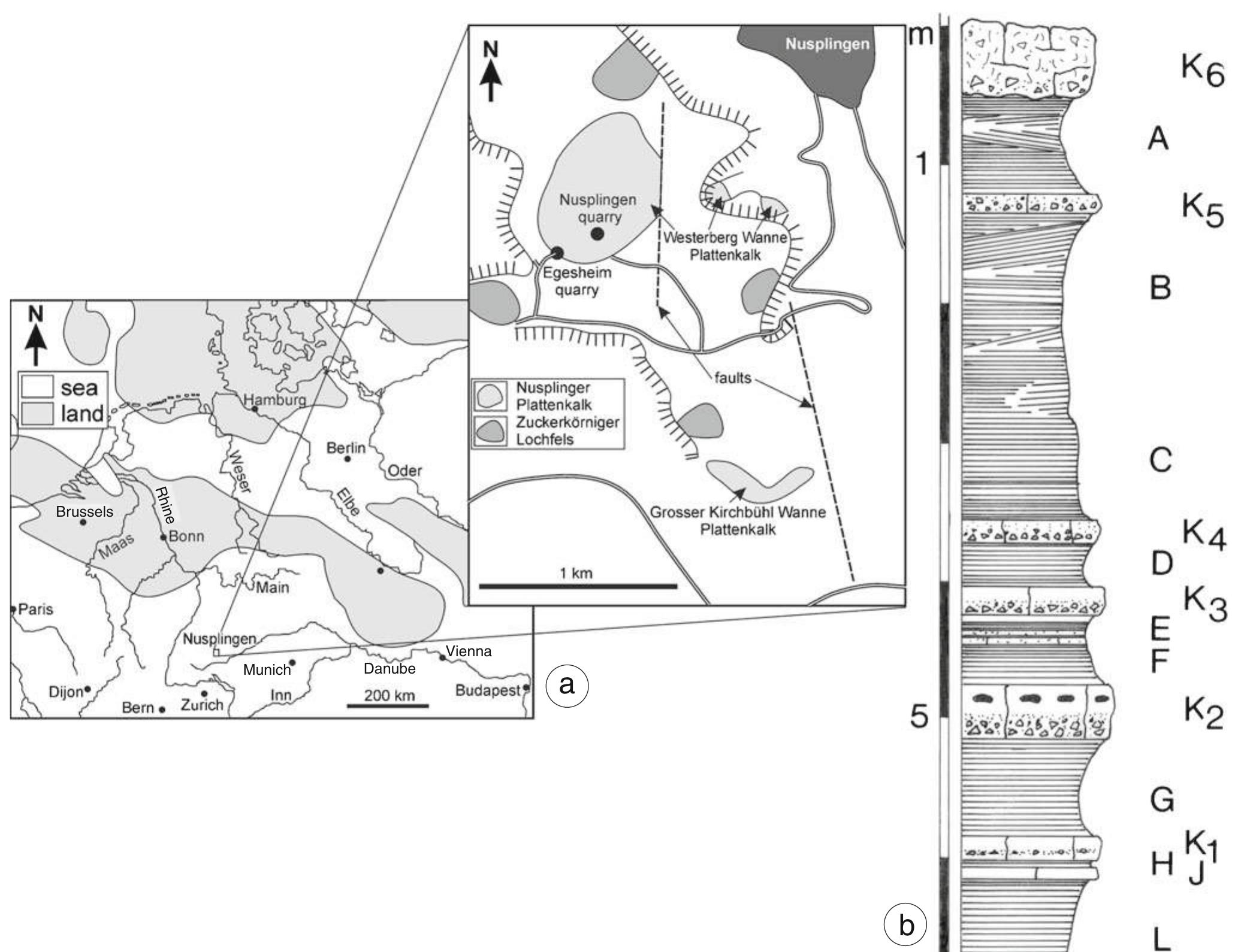 Map showing the geographic position (a) and a standard