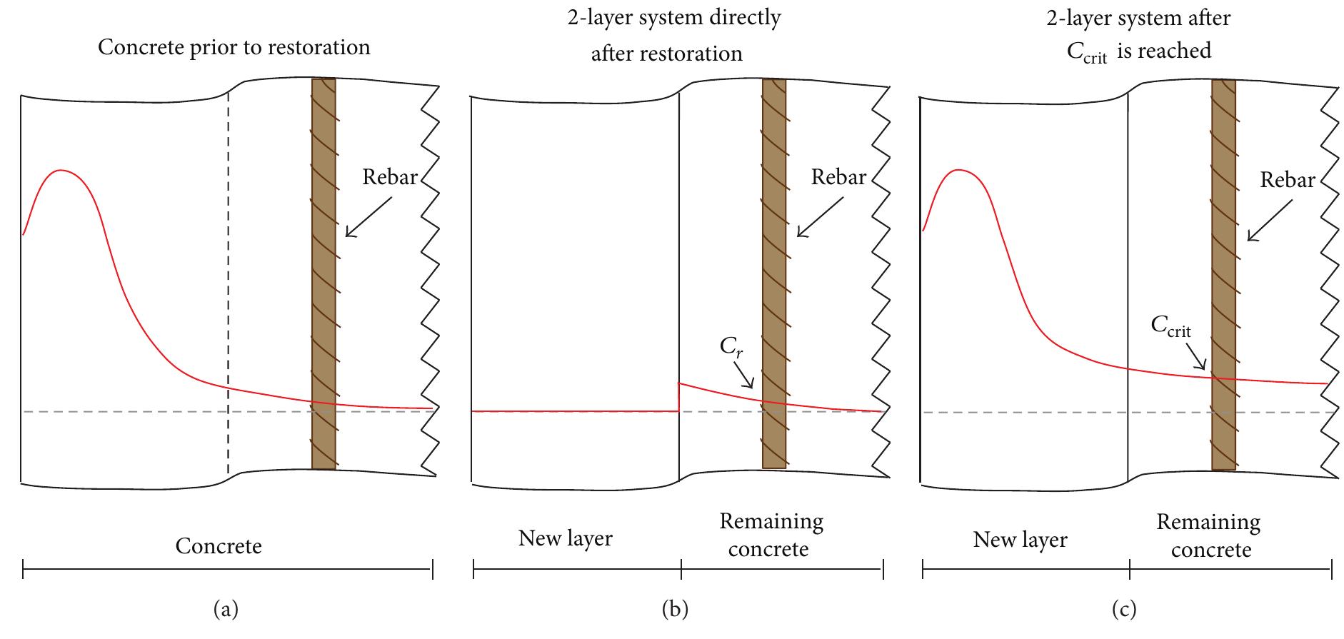 Schematic representation of the chloride profiles in a