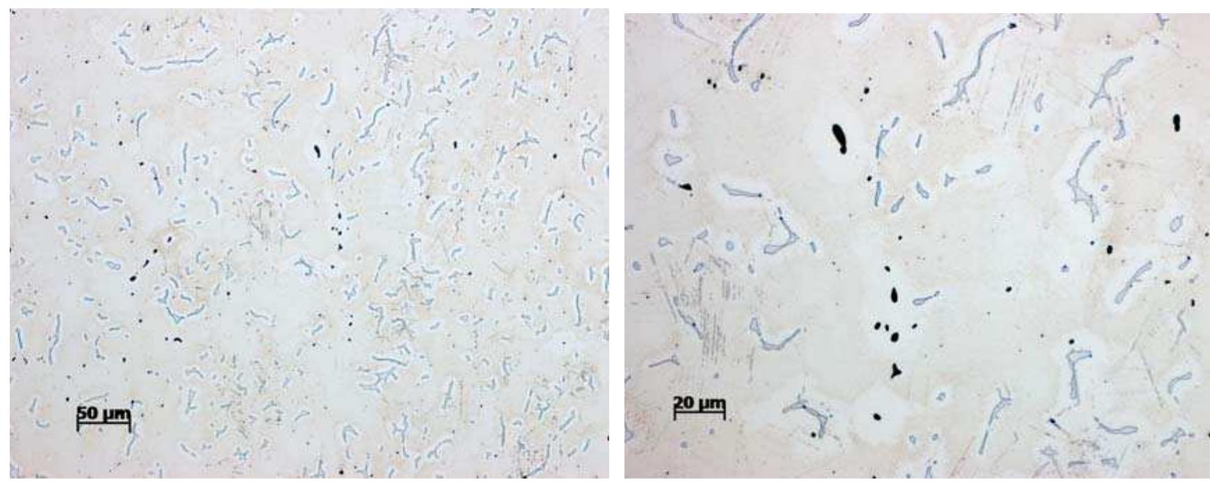 Microstructure observed with the optical microscope at 50x