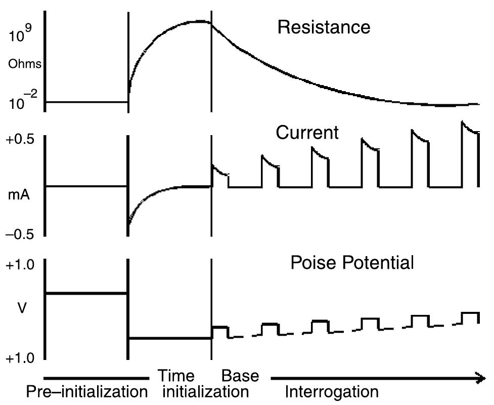 Schematic illustration of the epsis interrogation phases
