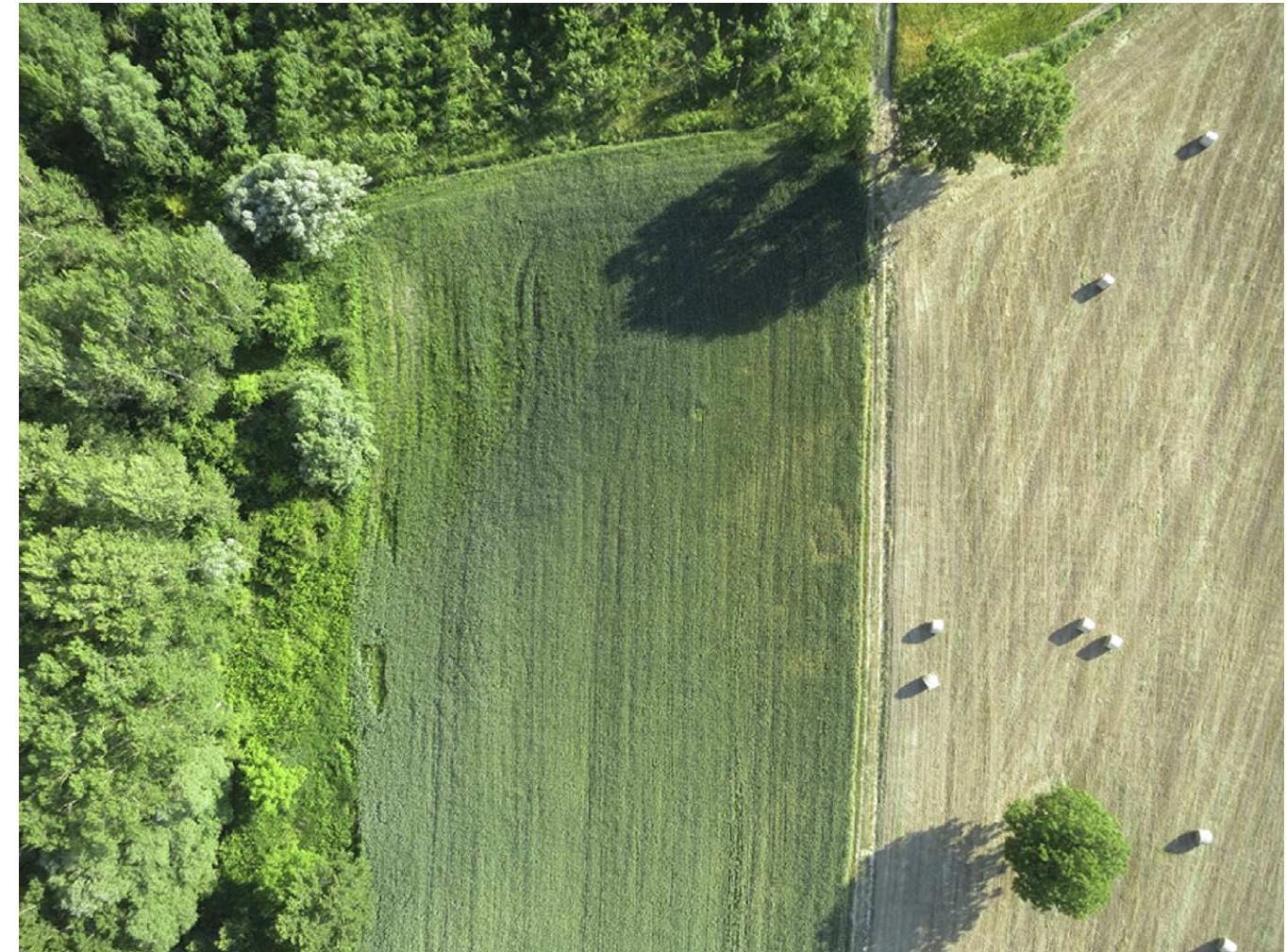 Vertical aerial photo of le pianelle area, 1-6-2015 (photo