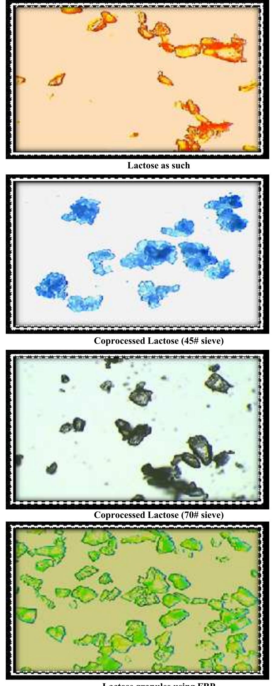 Microscopy of different granules for lactose monohydrate